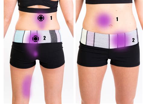 Multifidus Summary Komizo Diagnostics