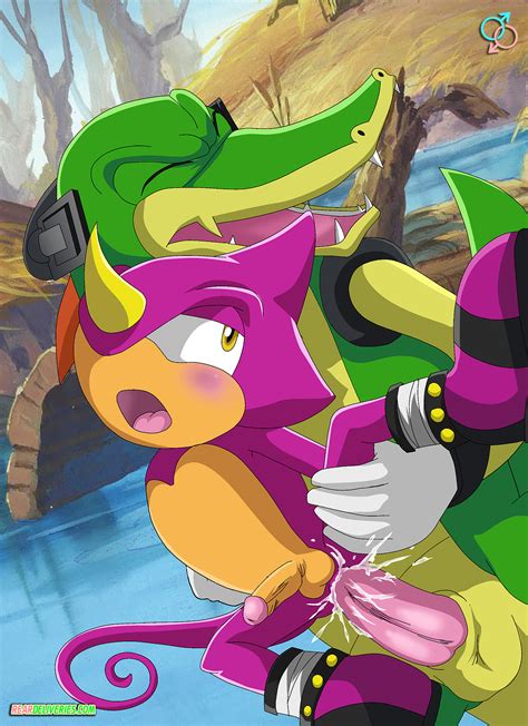 Rule 34 Anthro Chameleon Crocodile Day Espio The Chameleon Furry