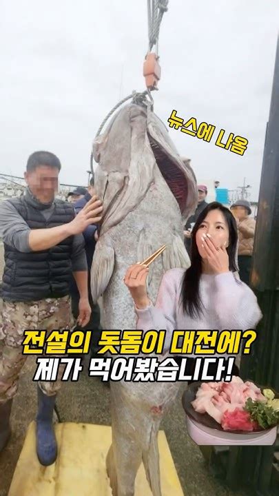 전설의 물고기 돗돔이 대전에제가 한번 먹어 보겠습니다 대전맛집 돗돔 대전가볼만한곳 Food 구시야끼 제주도돗돔 Youtube