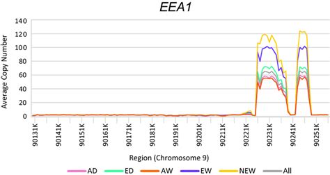 Average Copy Number Of 5 Groups In Eea1 Average Copy Number Around