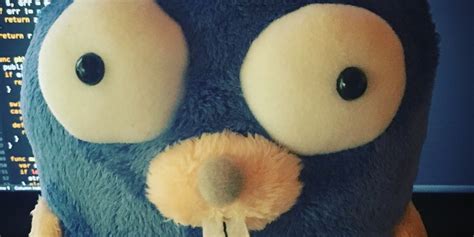 Golang Yes Or Not Dev Community