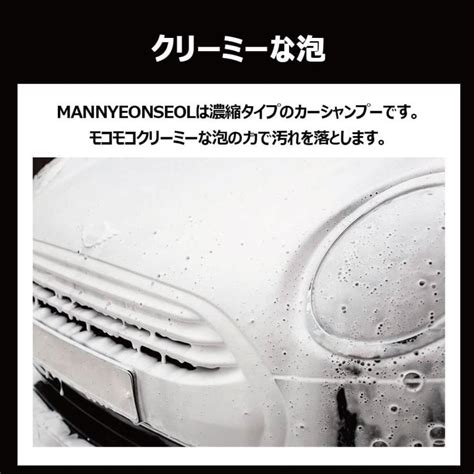 ザクラス ＜ 万年雪 ＞ 優れた洗浄力とクリーミーな泡 スノーフォームシャンプー 中性 シャンプー 泡 プレウォッシュ 洗車 正規品 The