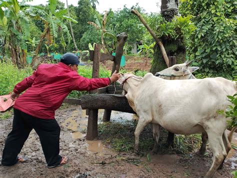 ကျိုက်မရောမြို့နယ်တွင် တိရစ္ဆာန်ကူးစက်ရောဂါ ကာကွယ်ထိန်းချုပ်ခြင်းဆိုင်ရာ အရေးပေါ်တုံပြန်မှုမ