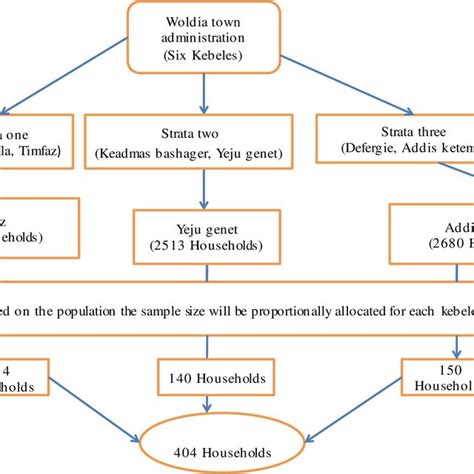 Schematic Representation Of Sampling Procedure Download Scientific
