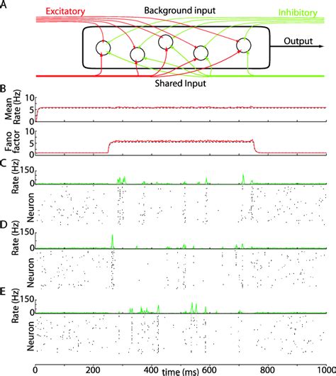 Color Online Synchronized Spiking From Pairwise Correlations A Download Scientific Diagram