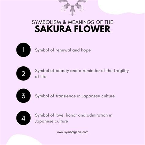 Sakura Flower Symbolism Meanings And History Symbol Genie