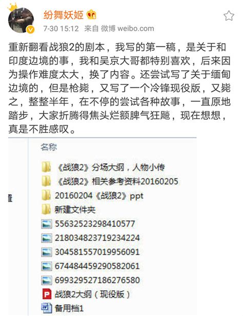 《战狼2》编剧董群是网文作家纷舞妖姬，未来他要拍《弹痕》手机新浪网