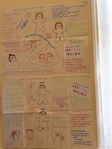 Flashback Healthy Bodies Healthy Choices Healthy Sex Removing The