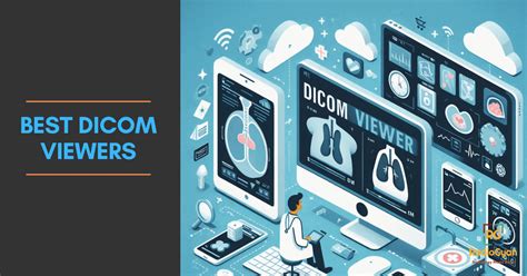 The Potential Spaces Mapping The Peritoneal Cavity Com Radiogyan
