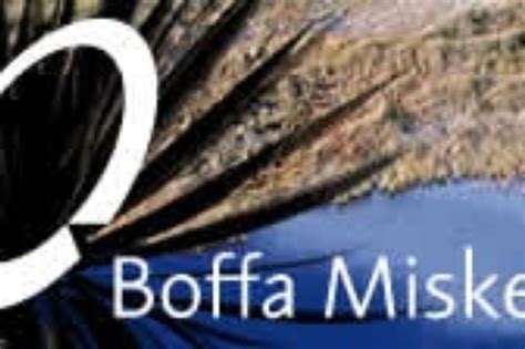 Boffa Miskell Architecture Now