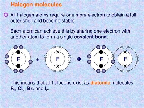 Halogens Ppt Download