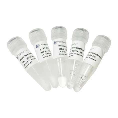 Hiscript Ii 1st Strand Cdna Synthesis Kit R211 Seqrs Kft