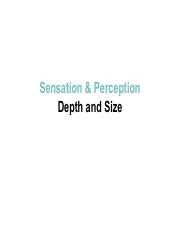 Understanding Depth And Size Perception Cues Illusions And Course Hero