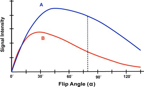 Ernst Angle Questions And Answers In Mri