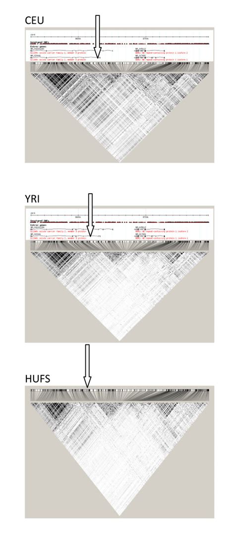 Comparison Of Linkage Disequilibrium In The Hapmap Phase Ii Ceu And Yri