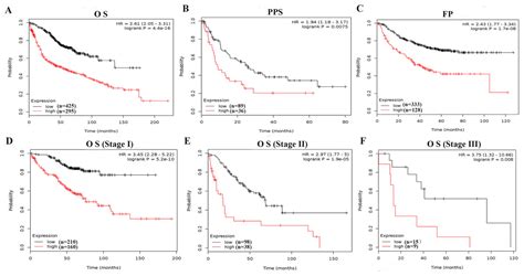 Upregulated Expression Of Pyruvate Kinase M2 Mrna Predicts Poor