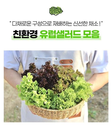 무농약 Gap인증 국내산 유러피안 샐러드 유럽샐러드 유럽상추채소 1kg 랜덤 3~4종 친환경 모듬채소 쌈채소 로메인 크리스탈 버터헤드 산지직송 12900원 샐러드