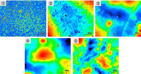 Fig S7 Height Morphology Of Platelet Adhesion Test Results Of Download Scientific Diagram