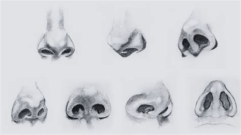 How To Draw Nose Step By Step Basic Structure And Different Angles Easy Process YouTube