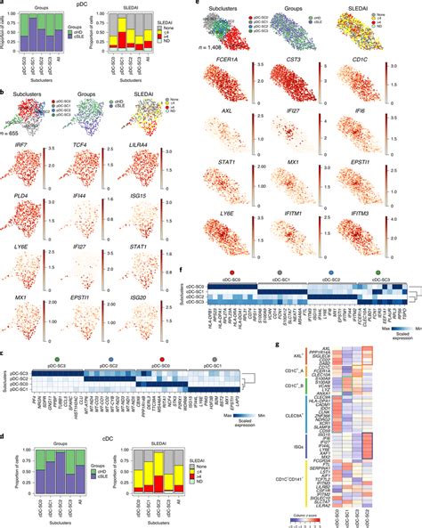 Characterization Of Pdc And Cdc Single Cell Landscapes In Csle A Bar Download Scientific