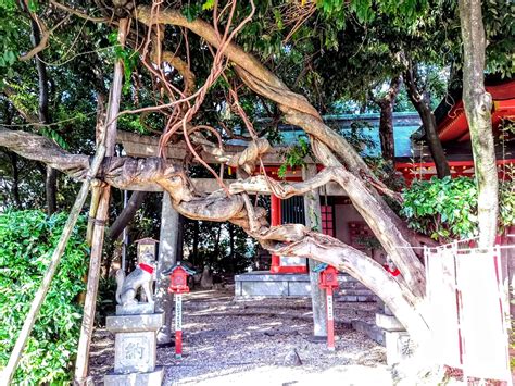 豊藤稲荷神社 愛知県鳴海駅 の投稿 1回目 お稲荷さんというと祟られるという都市伝説 ホトカミ