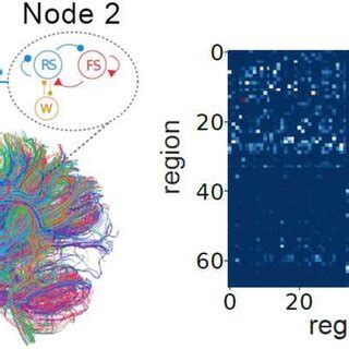 Left Panel Shows A Diagram Showing Two Of Mean Field Nodes In The Download Scientific
