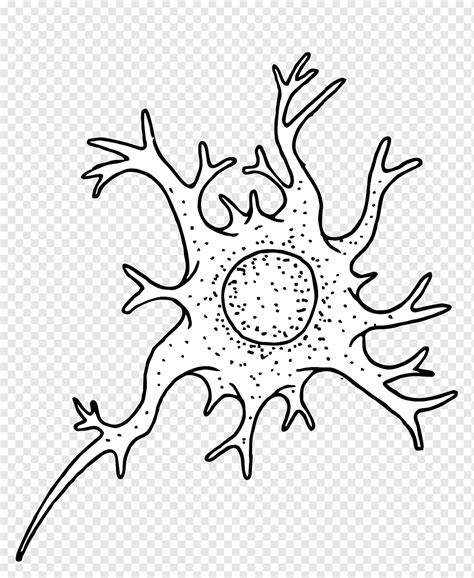 Dibujos Animados De Células Dendríticas