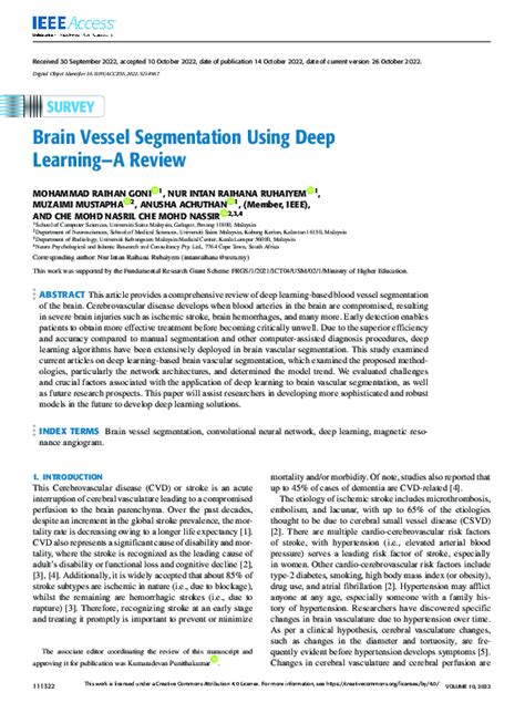 Pdf Brain Vessel Segmentation Using Deep Learning—a Review