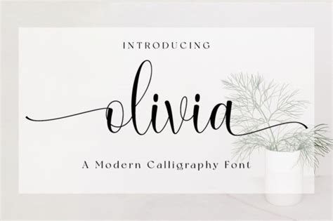 Olivia Font Font Canyon