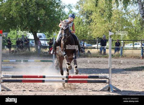 Show Jumping Training In Germany At Clarence Swingle Blog