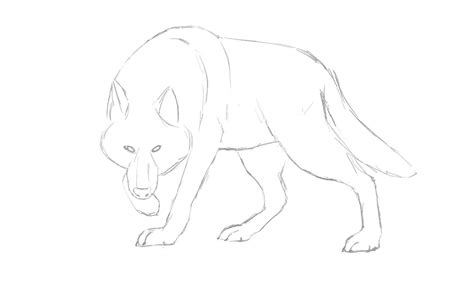 How To Draw A Wolf In 8 Easy Steps A Z Animals