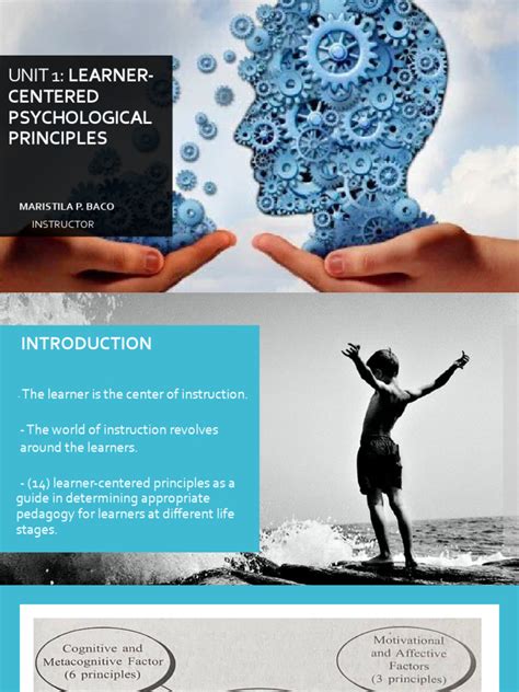 14 Learner Centered Principles Pdf