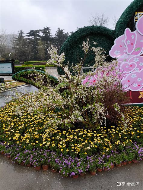 用于情绪分析的12个python库，对比分析 知乎