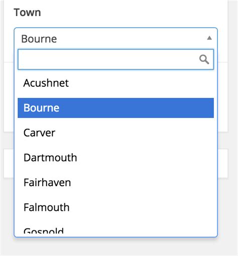 Custom Taxonomies In Taxonomy Select Menu Not Showing Results Acf Support