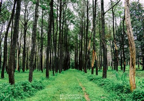 เที่ยวเชียงดาว แม่แตง จังหวัดเชียงใหม่ 3 วัน 2 คืน