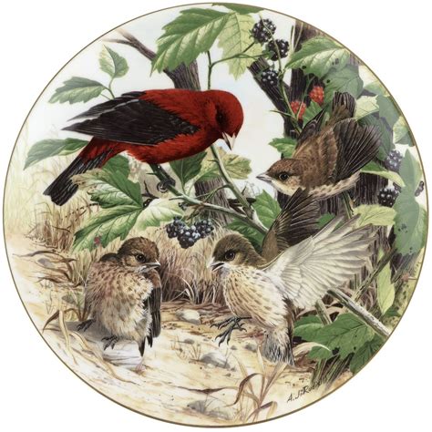 Декоративная тарелка на стену Алая пиранга учит птенцов летать фарфор Limoges Франция