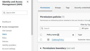 Attach AWS IAM Policy To IAM User With Python Codeloop