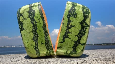 Whats Inside A Square Watermelon Youtube