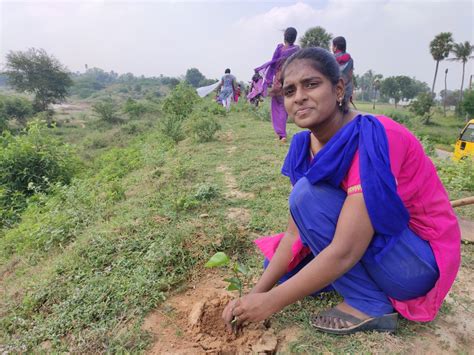 Preserving The Ecosystem By Mass Planting Of Tree Saplings Sevalaya