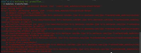 Vite React NPM RUN BUILD ERROR EACCES Permission Denied Stat