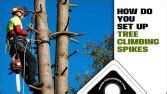 How Do You Set Up Tree Climbing Spikes Step By Step Guide