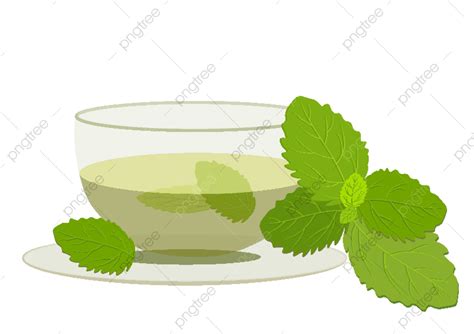 Gambar Png Daun Mint Png