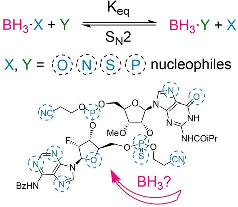 Coordination Chemistry Of Borane In Solution Application To A Sting
