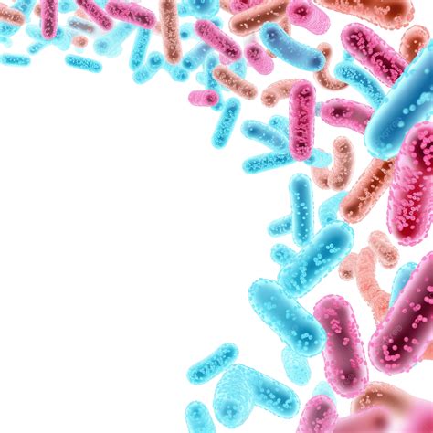 3d Render Microbiome Seamless Border Probiotic Bacteria Print With