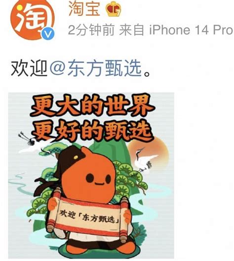 东方甄选上线淘宝，俞敏洪率队开播 极客公园