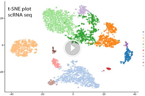 Rna Seq Data Analysis Scimedina Private Limited