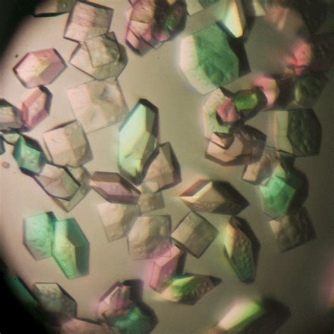 Primary Crystallization Kits Creative Biostructure