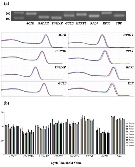 Examination Of Amplicon Size Melting Curve And Ct Value Of Candidate Download Scientific