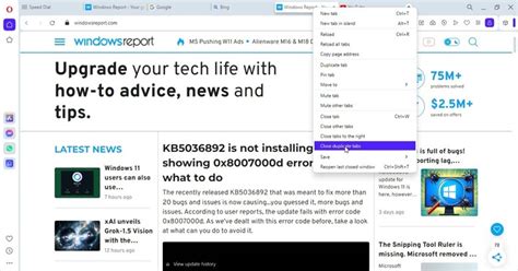 Brave And Opera Can Now Natively Handle Duplicate Tabs Problem While