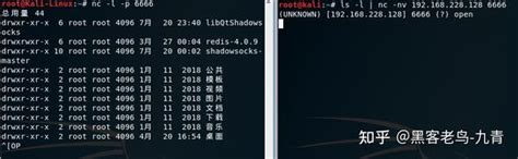 黑客工具之netcat详细使用教程 知乎